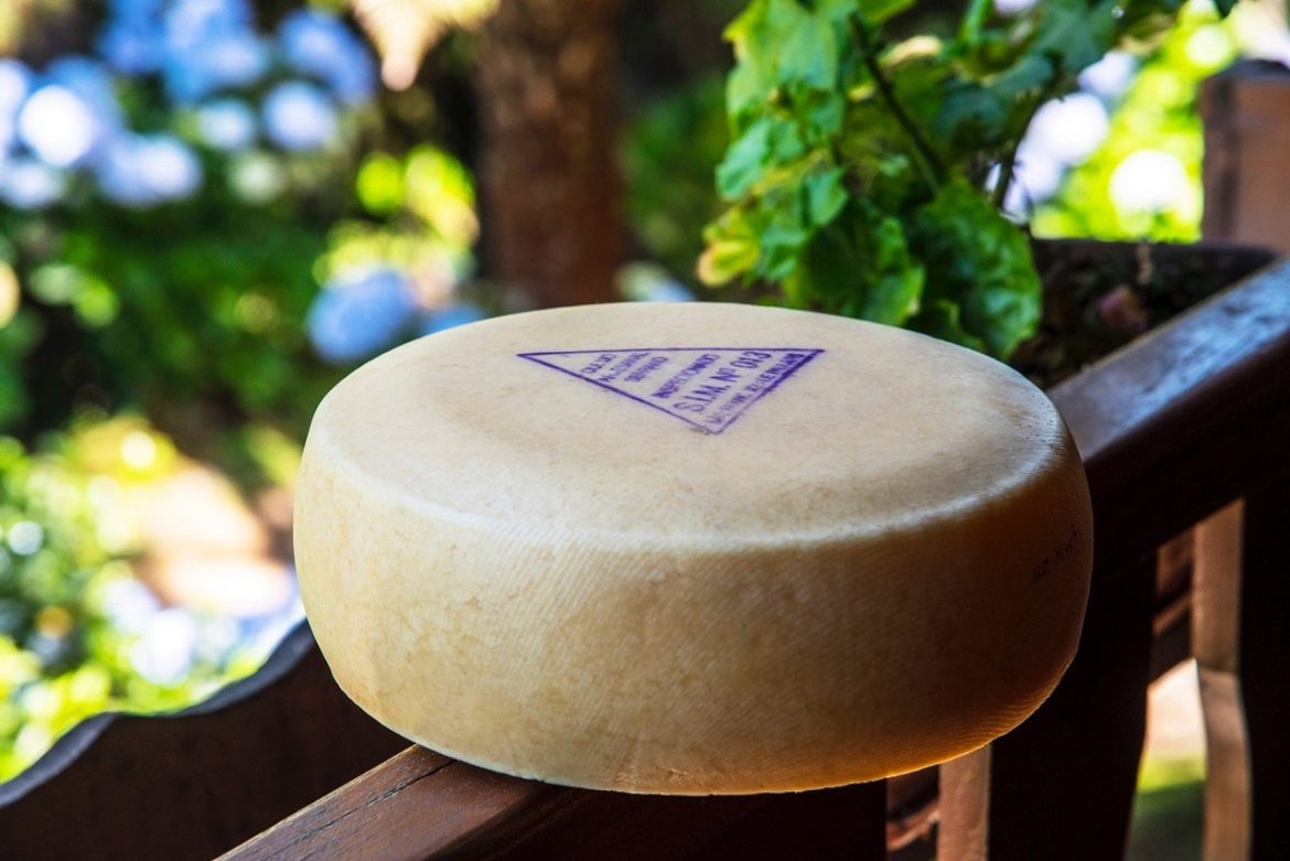 Queijo Serrano: 200 anos de história até a Denominação de Origem ...